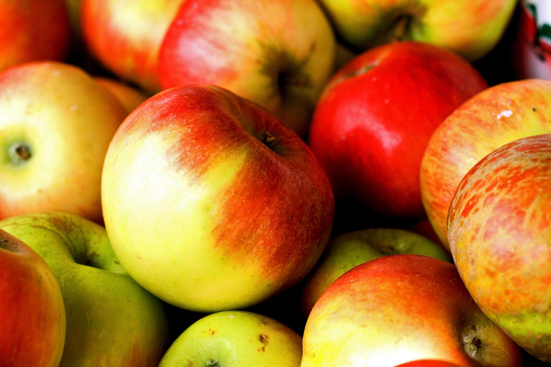 What's the Best Apple? (Small Stakes, Big Opinions) | All Of It | WNYC ...