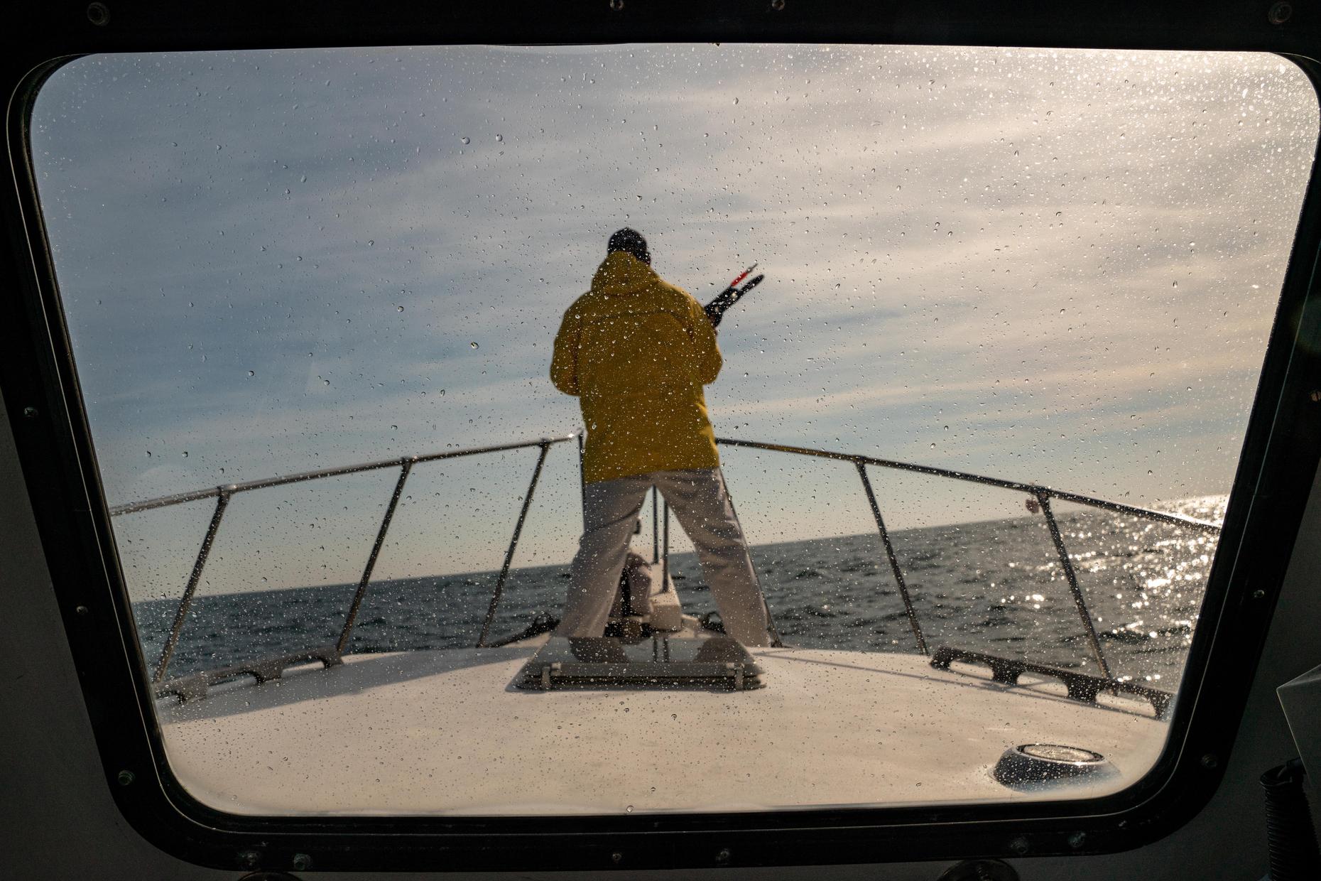 Can Whales Be Protected From NY's Colossal Offshore Wind Farms? | WNYC ...