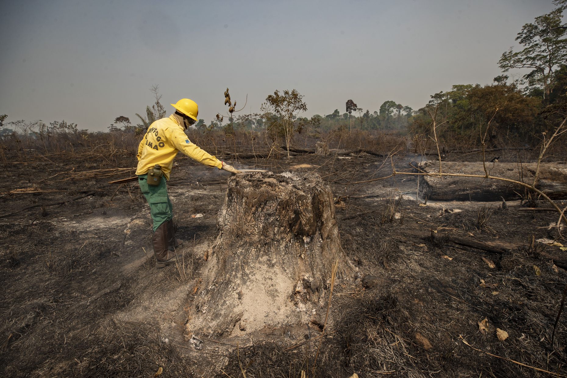 The Beginning of Brazil's Fire Season is the Worst in a Decade | The ...