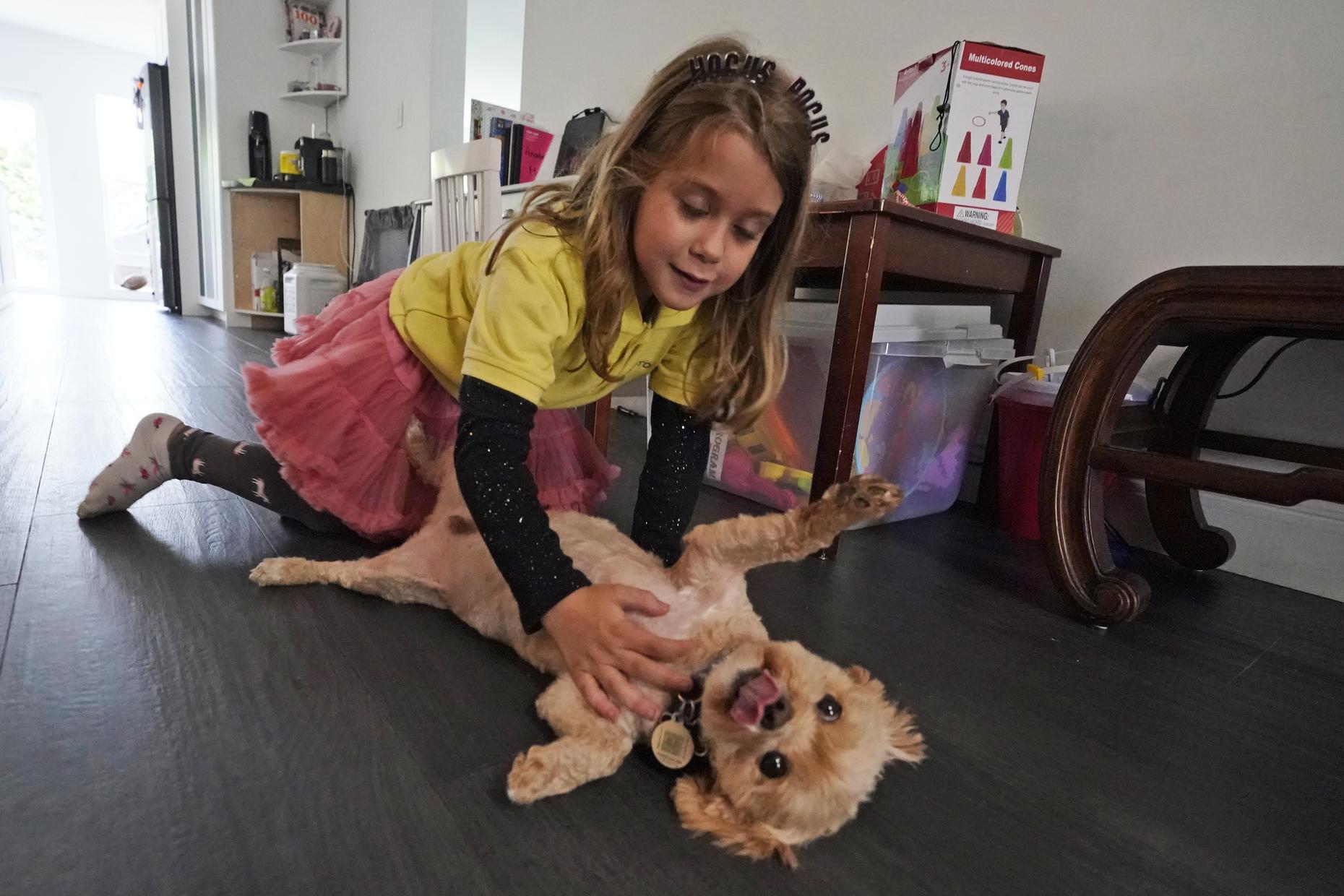 Hunker Down Week: Dog Adoption and Training | All Of It | WNYC Studios