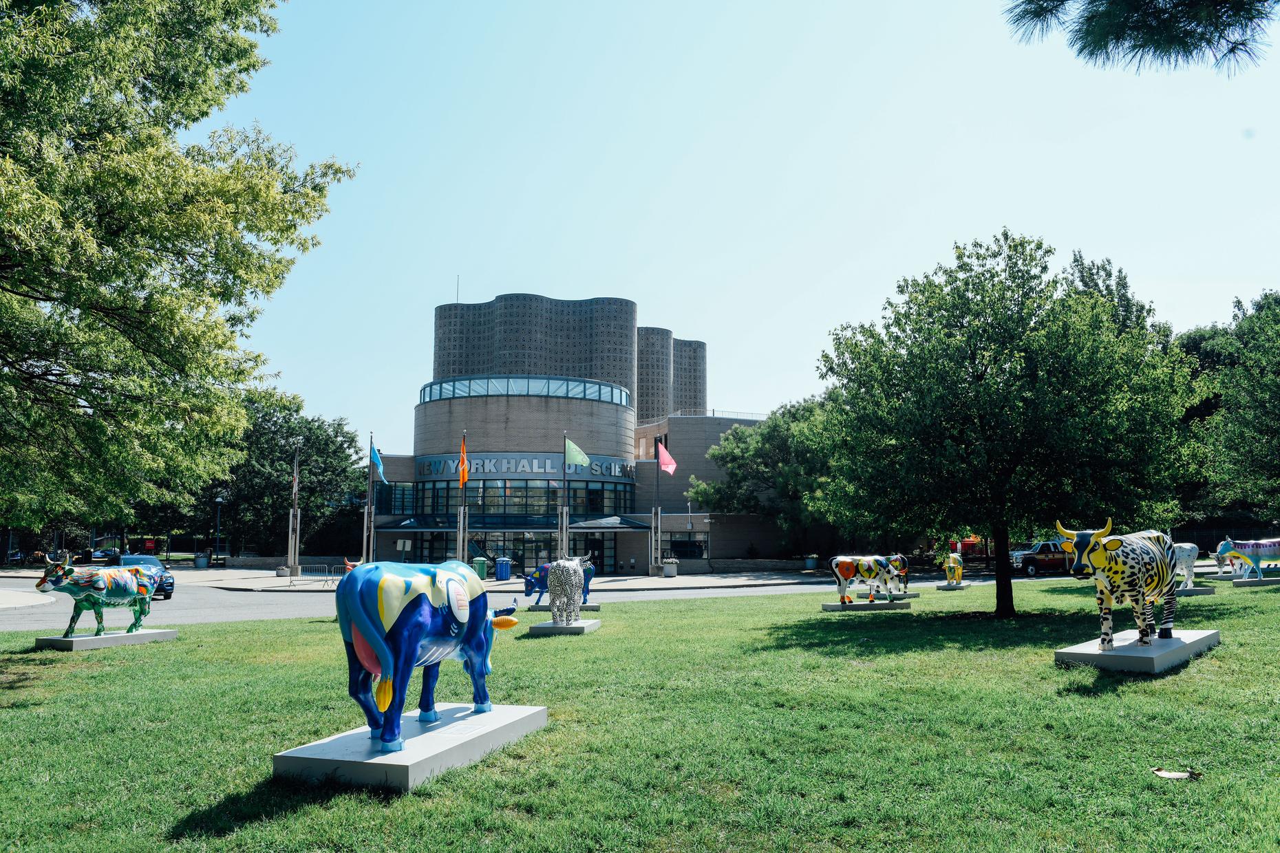 The Cow Parade Returns | All Of It | WNYC Studios