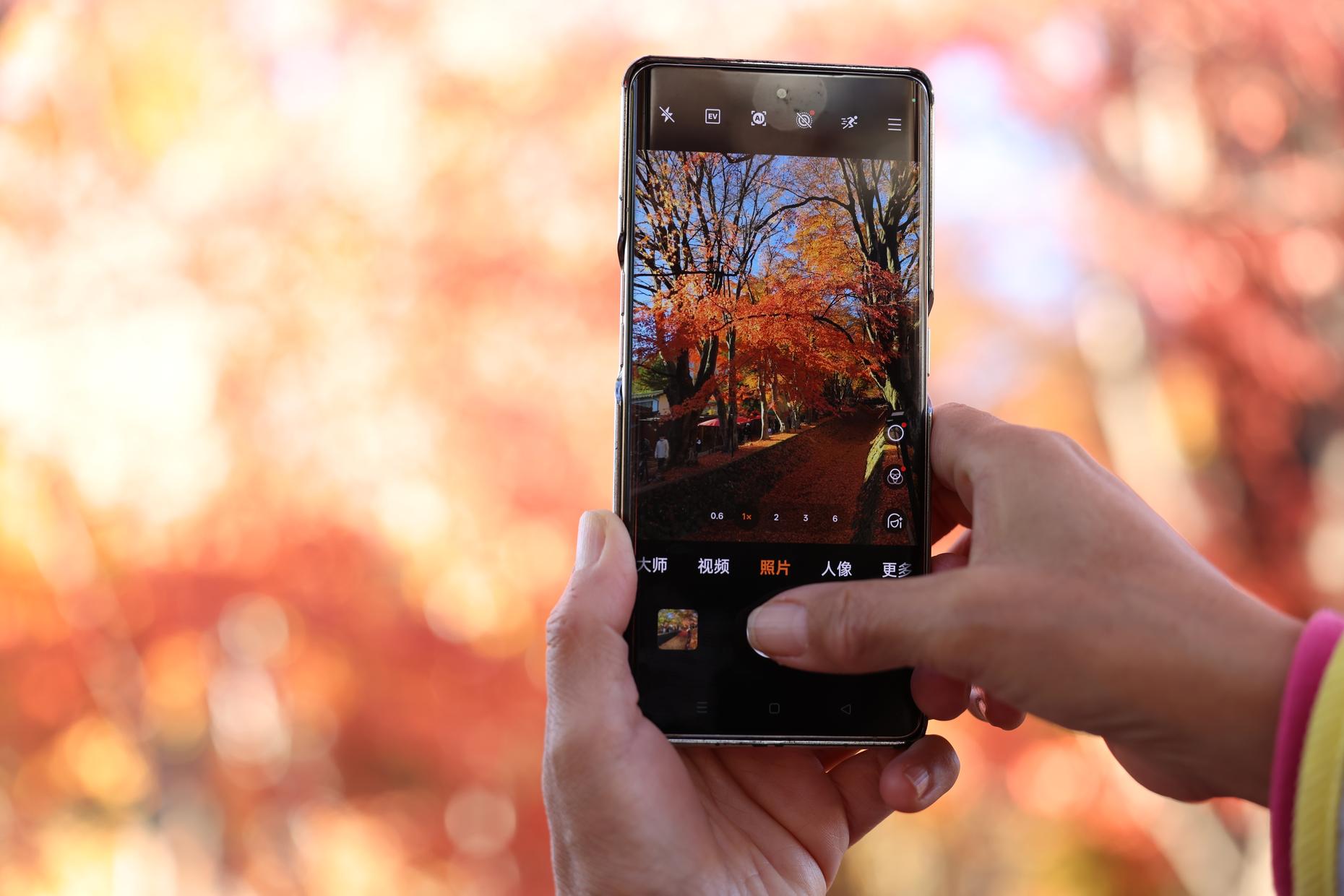 The Brian Lehrer Show's 'Best Photo' Contest Winners For 2025 | The ...