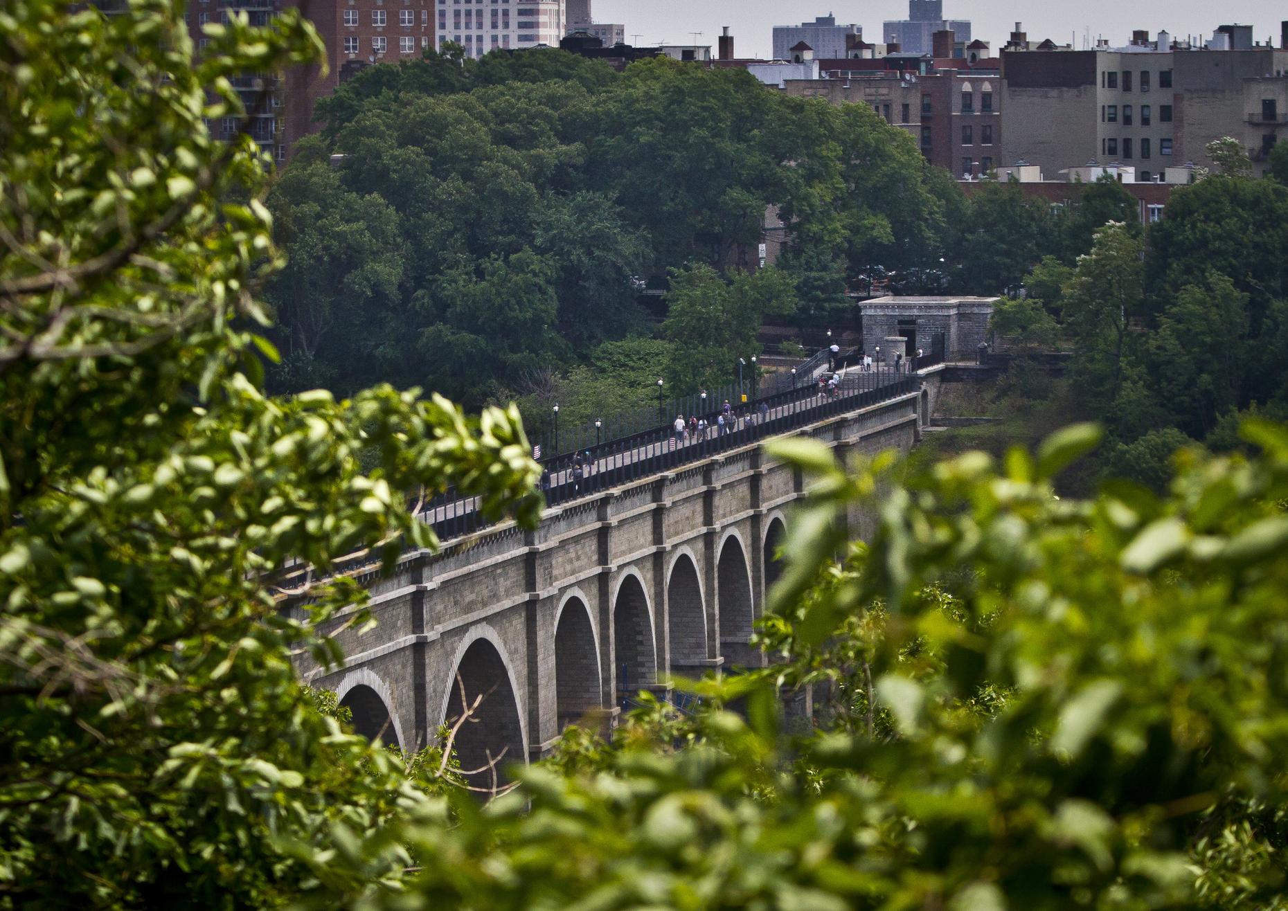 Summer in the City: What To Do In The Bronx | All Of It | WNYC Studios