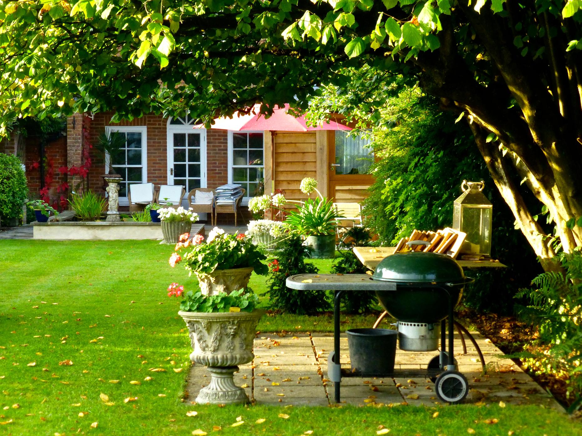 The Best Plant-Keeping Practices | All Of It | WNYC