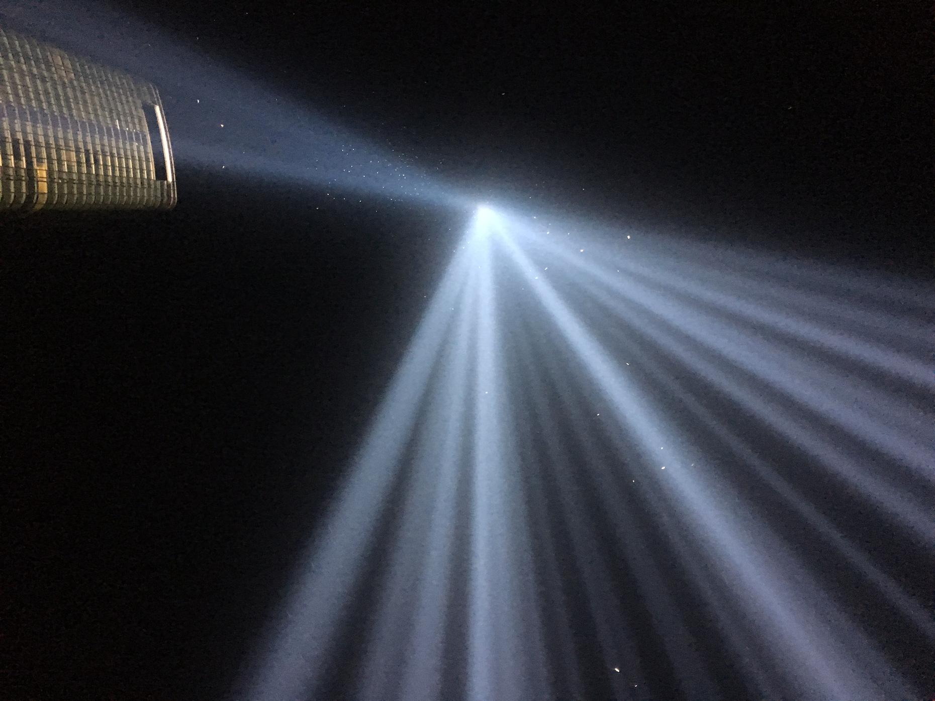 At 9/11 Tribute in Light, A Rare Opportunity for Bird Researchers | The ...