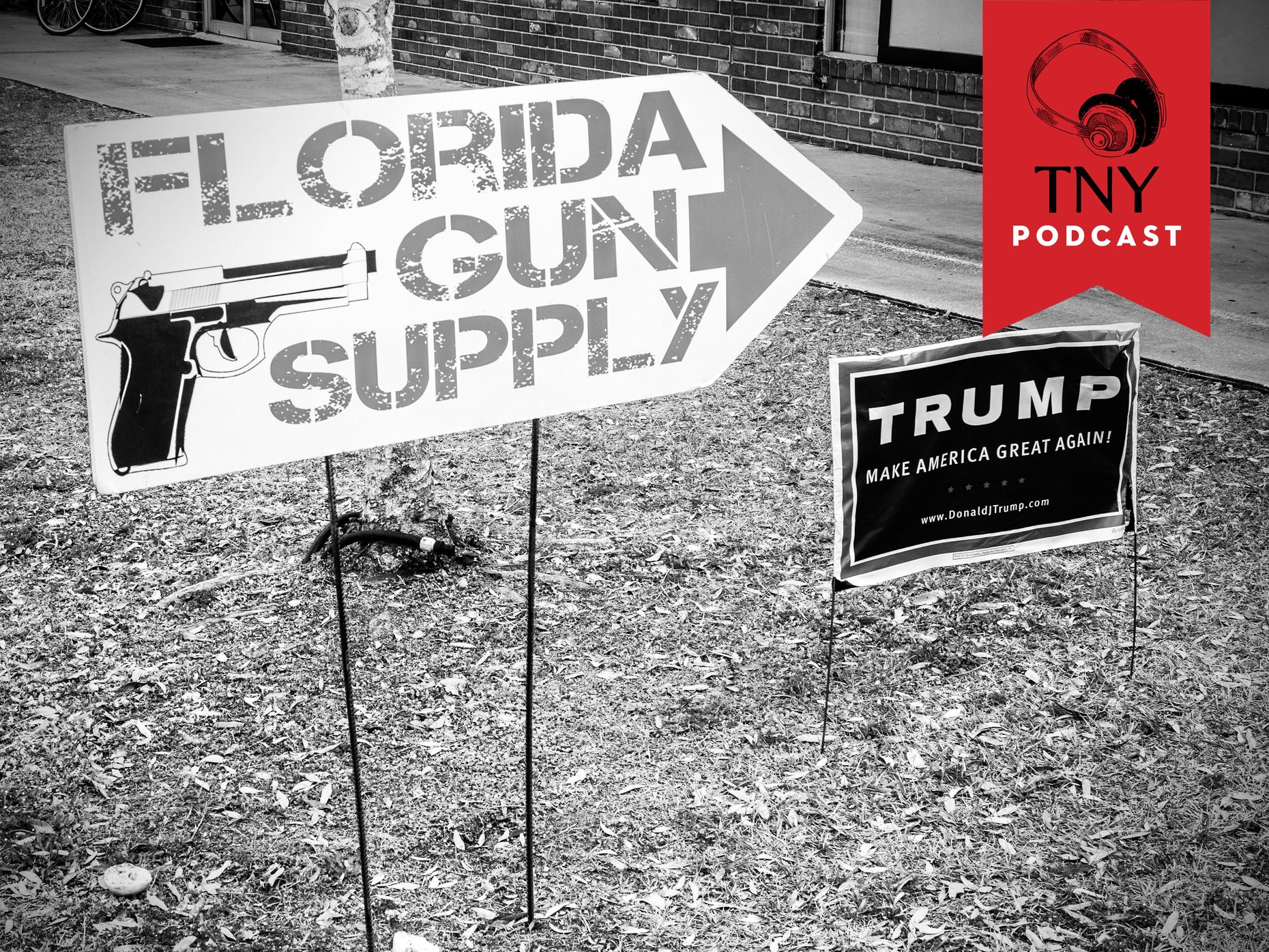 How Florida Became Gun Paradise | The Political Scene | The New Yorker ...