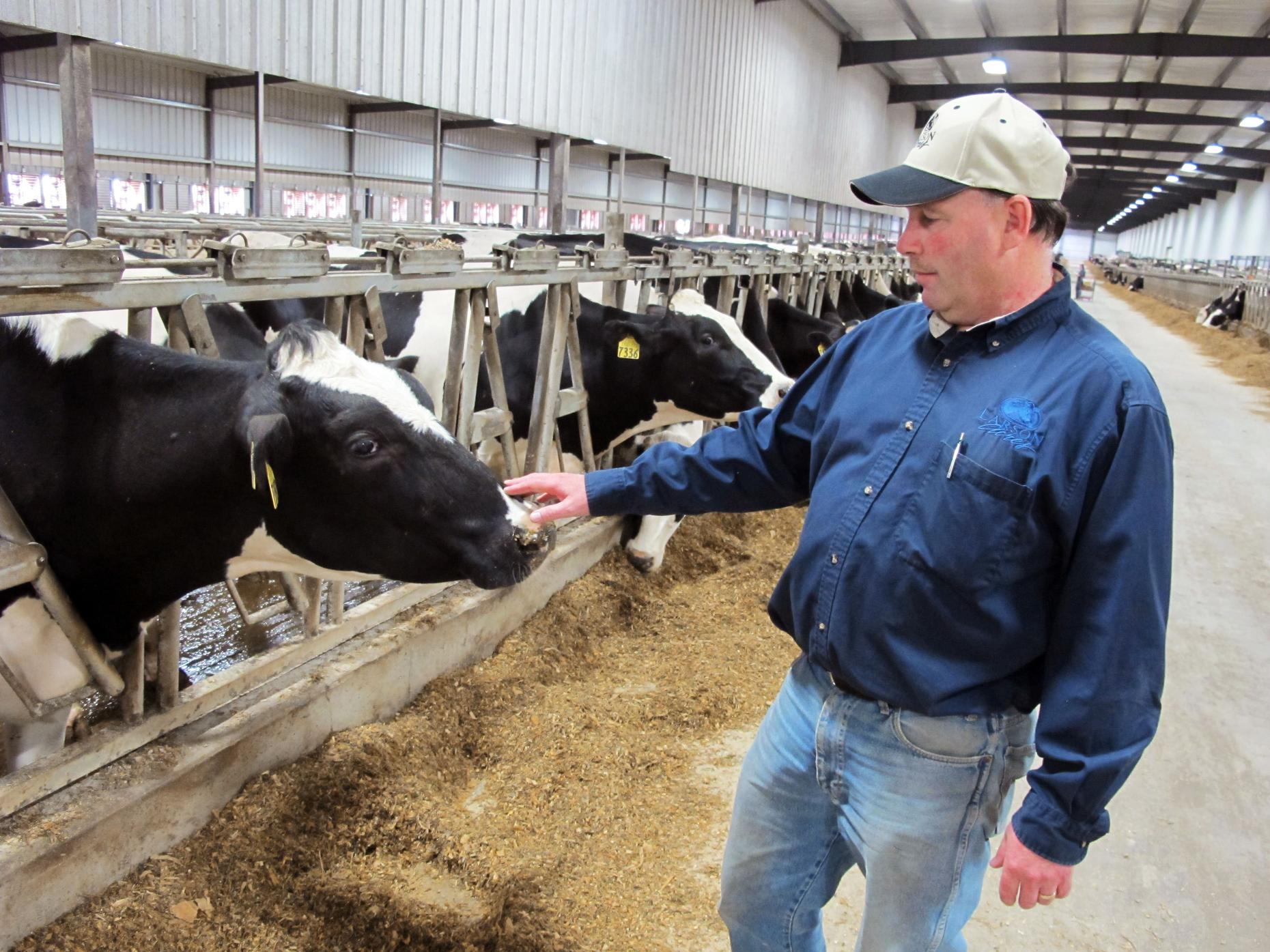 Less Milk, More Cheese: The Fight To Save The Dairy Industry | The ...