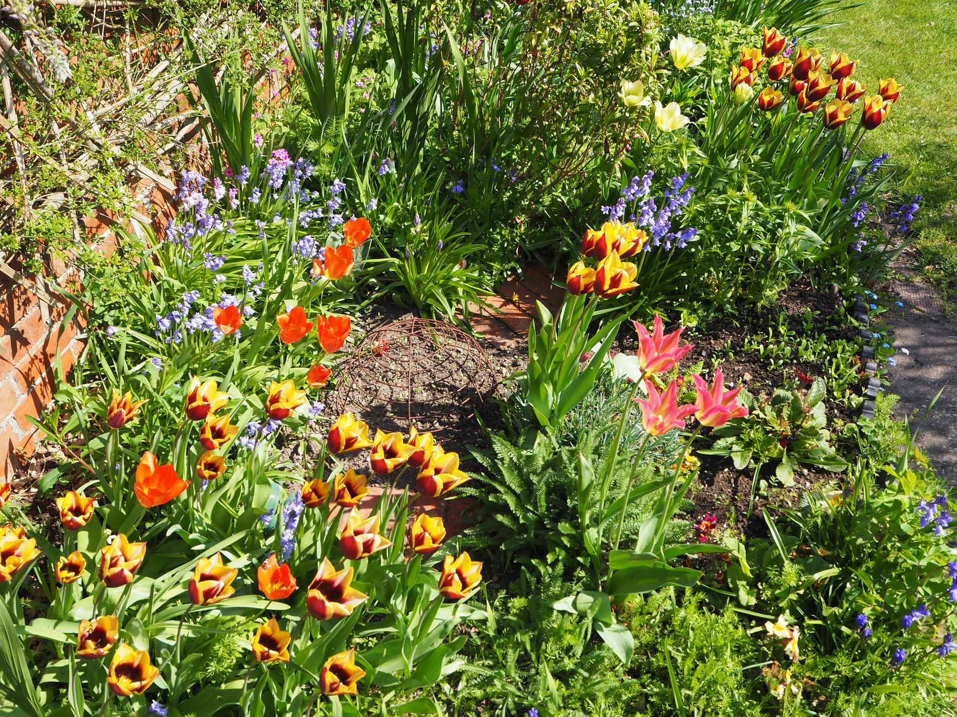 Tips For Making Your Garden Grow | The Leonard Lopate Show | WNYC