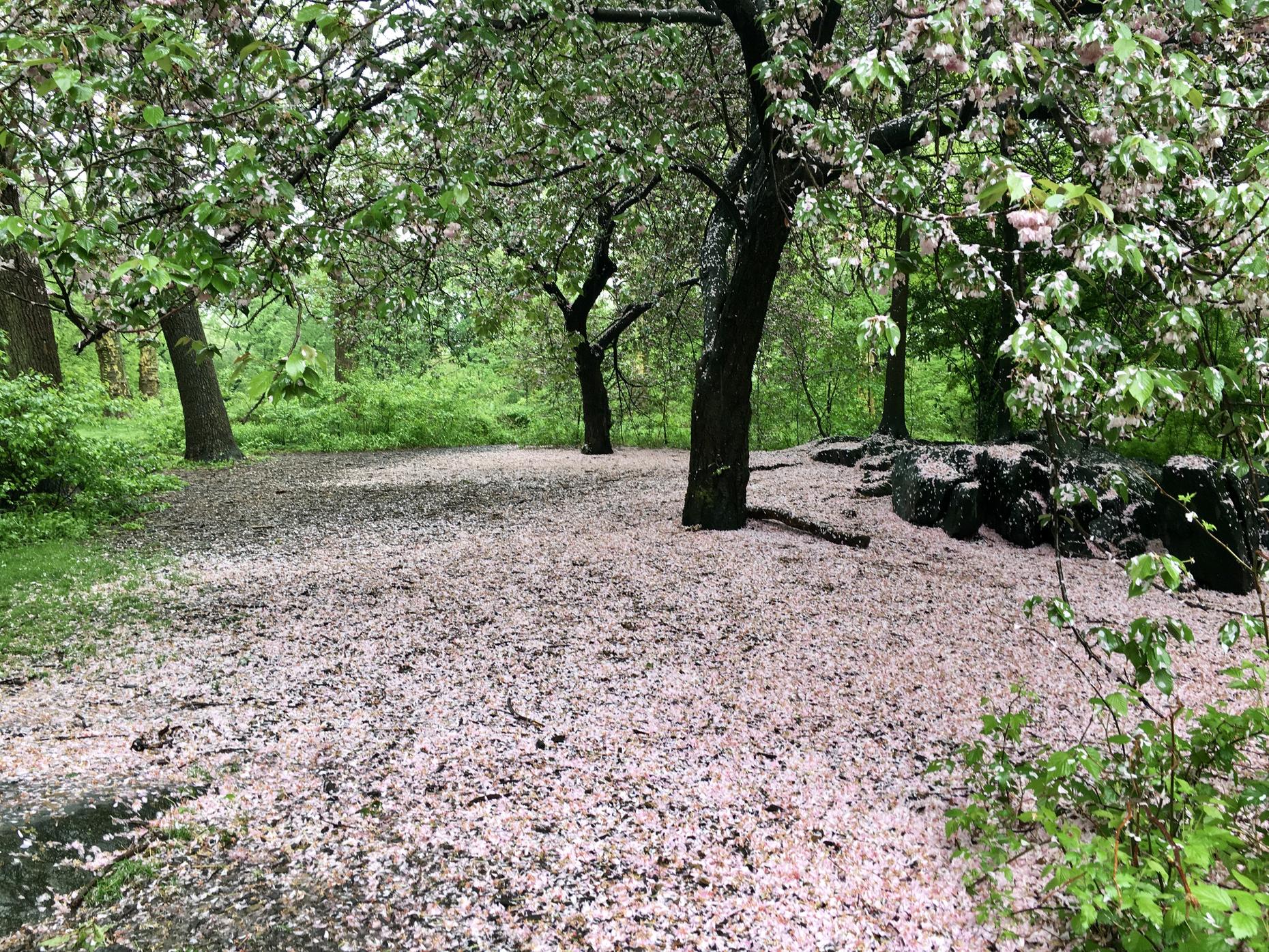 EXTRA: Brian and Michael Read Poetry | The Brian Lehrer Show | WNYC Studios