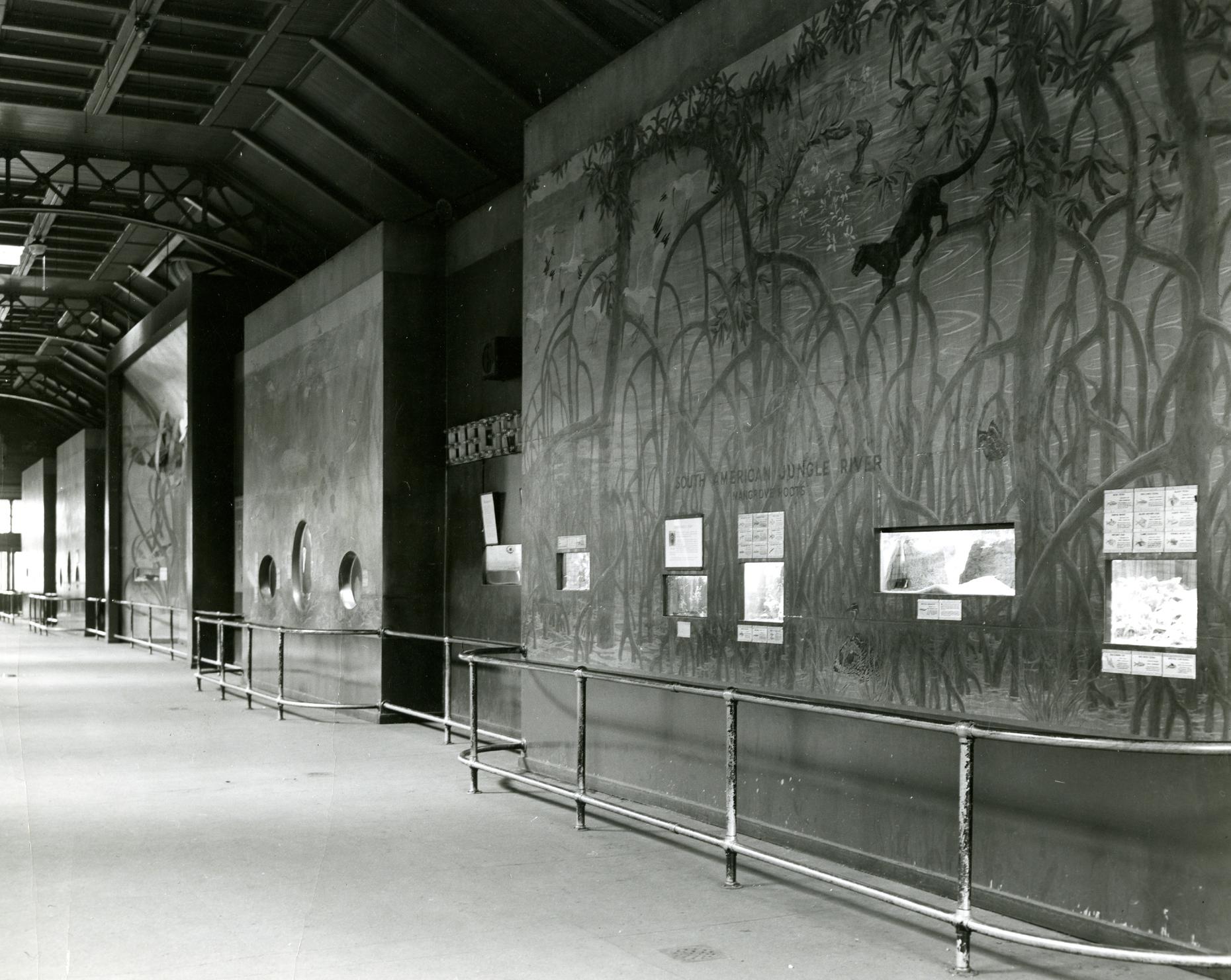 Electric Eels Bunking with Tigers: The Itinerant New York Aquarium ...