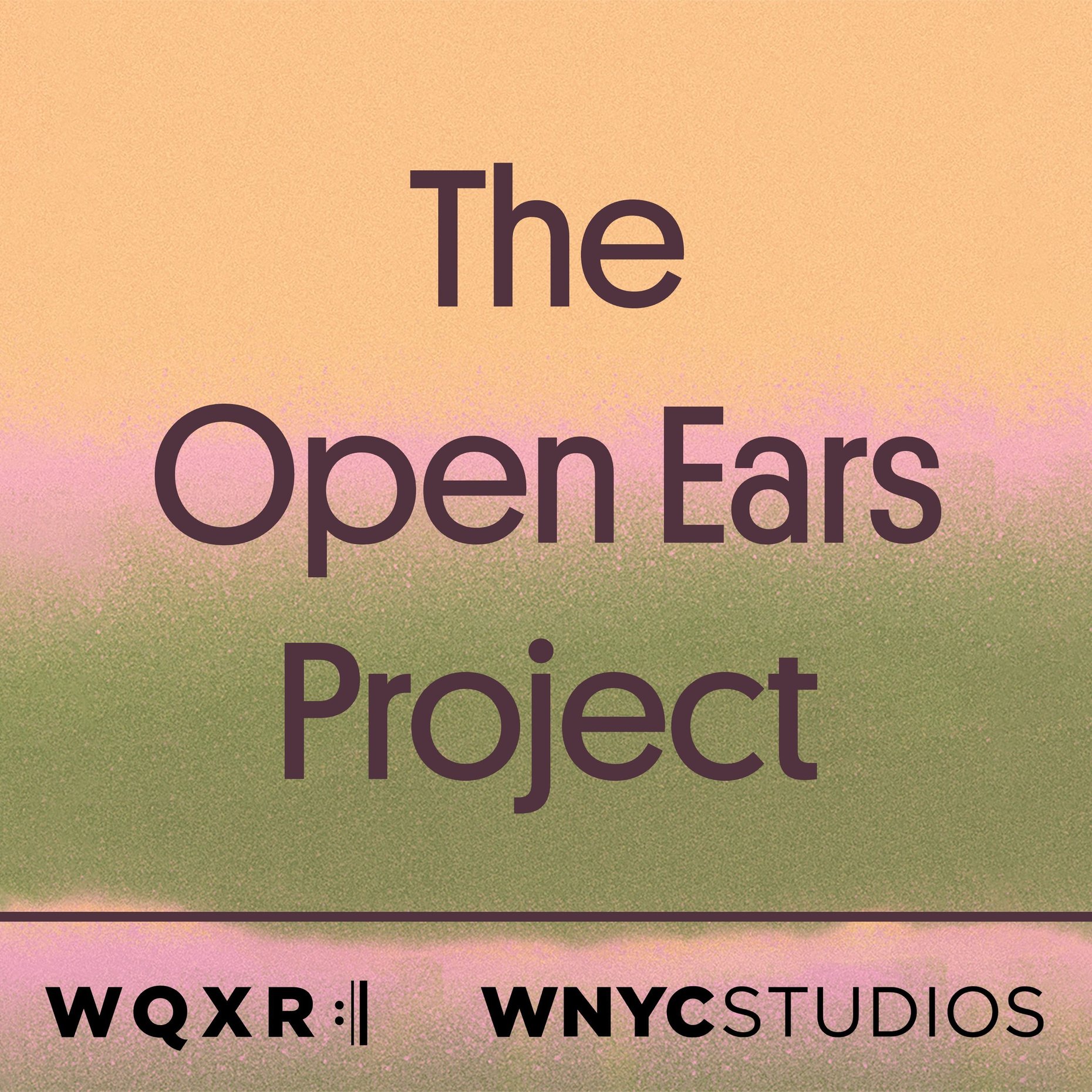 The Open Ears Project Returns! | The Open Ears Project | WNYC Studios