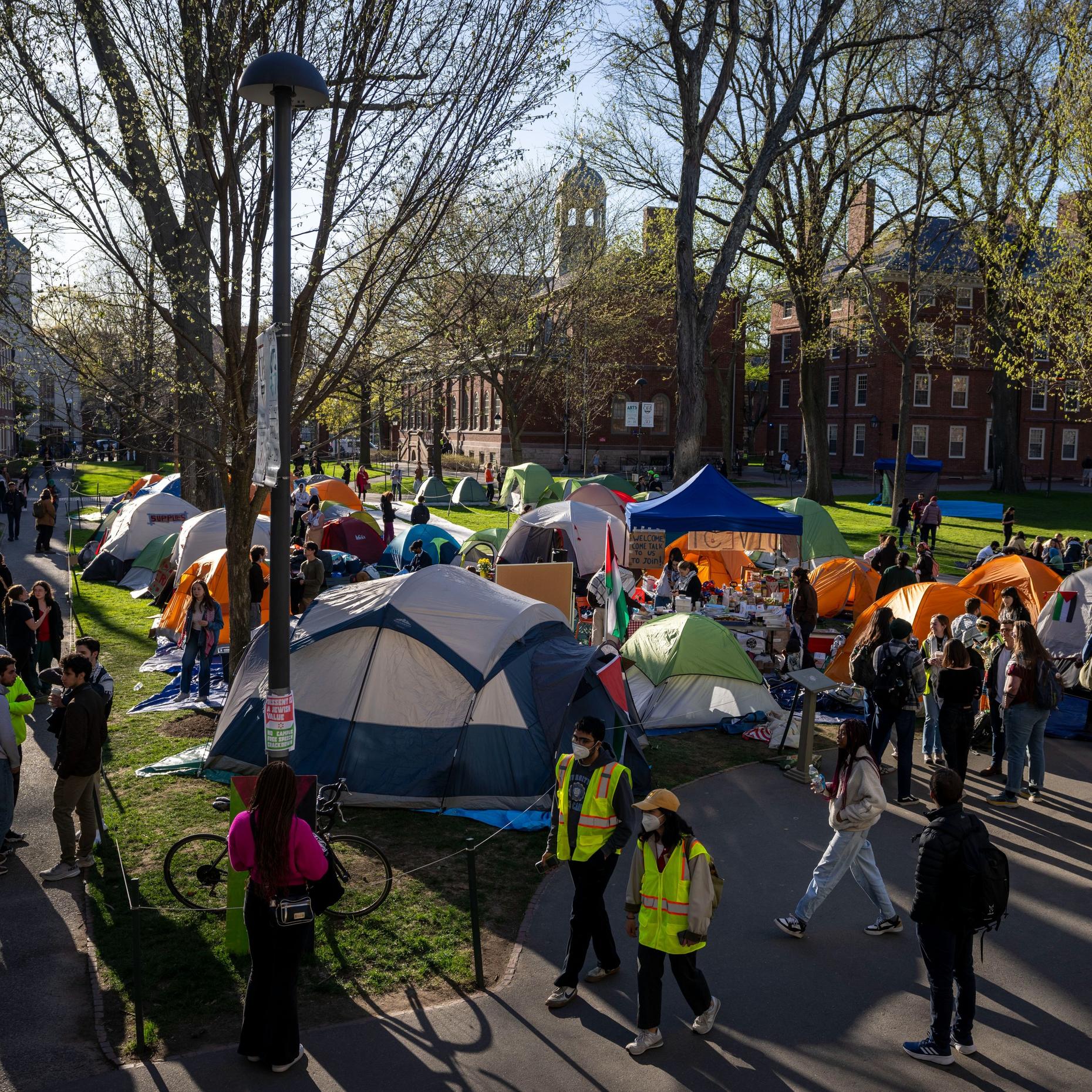 The Protests at Harvard as Seen by Student Reporters | The New Yorker ...