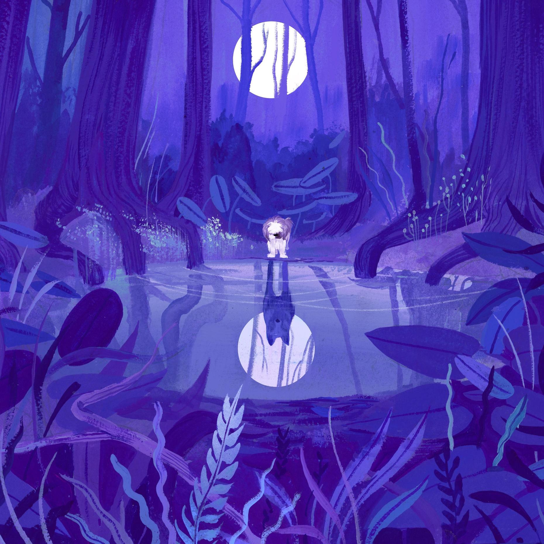 The Howler: The Dog Who Joined a Coyote Pack | Radiolab for Kids Presents: Terrestrials | WNYC ...