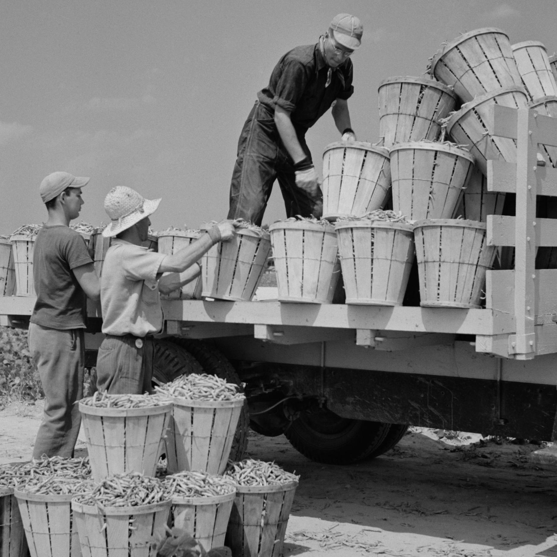 John Seabrook on the Destructive Family Battles of “The Spinach King ...