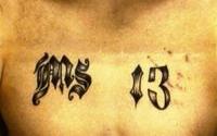 Authorities Make Strides Against MS-13, Long Island's 'Baddest' Gang ...
