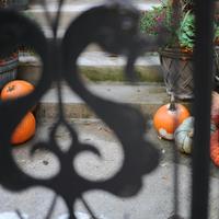 WQXR Features | WQXR | New York's Classical Music Radio Station