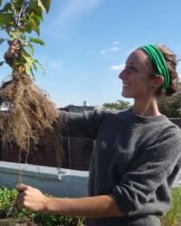 Serving for the Season: Annie Novak's Kale and Stained Glass Potato ...