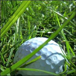 On "Dr. V's Magical Putter" | On the Media | WQXR