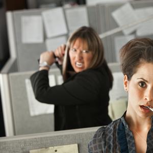 Occupational Hazards: Navigating the Tough Terrain of Cubicle Land ...