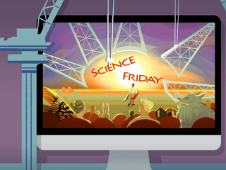 Science Friday: Segments | WNYC Studios | Podcasts