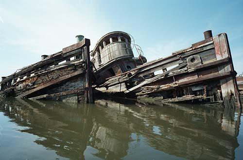 The Witte Boneyard: A Different Kind of Graveyard | WNYC | New York ...