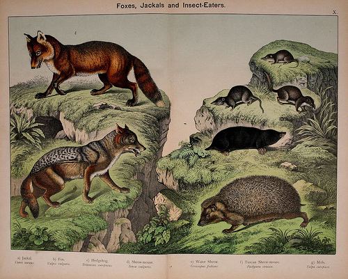 The Fox News Mole | On the Media | WNYC Studios