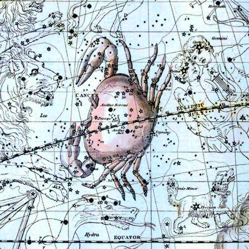 A Brief Biography of Cancer | On the Media | WNYC Studios