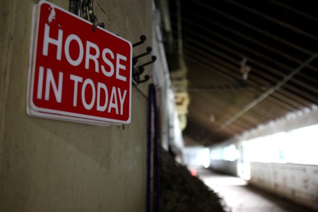 Life as a Belmont Park Backstretch Worker | WNYC | New York Public ...