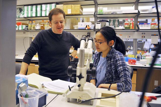 Worms, Roots and Anxiety Lead Three Young Scientists to the Intel ...