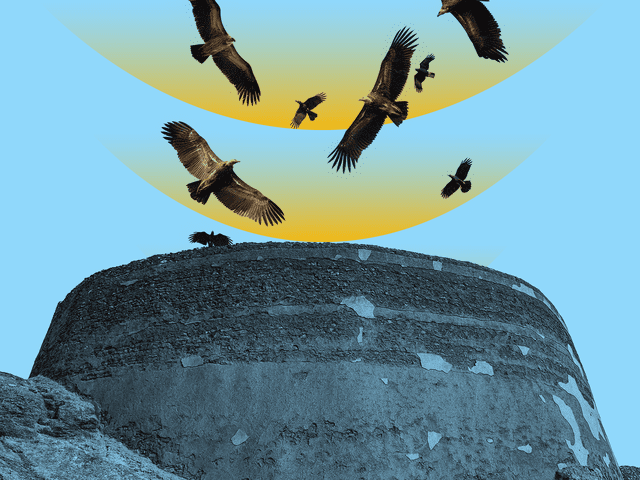 Radiolab: Podcasts | WNYC Studios | Podcasts