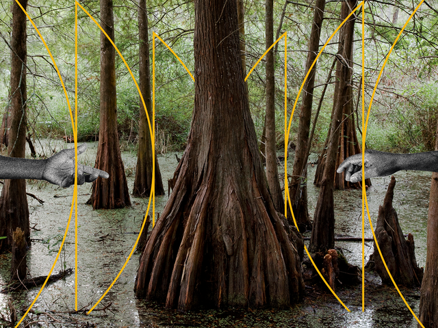 Radiolab: Podcasts | WNYC Studios | Podcasts