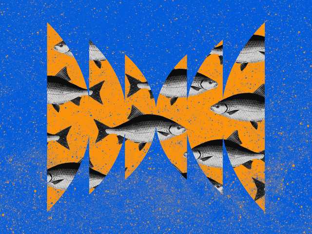 Radiolab: Podcasts | WNYC Studios | Podcasts