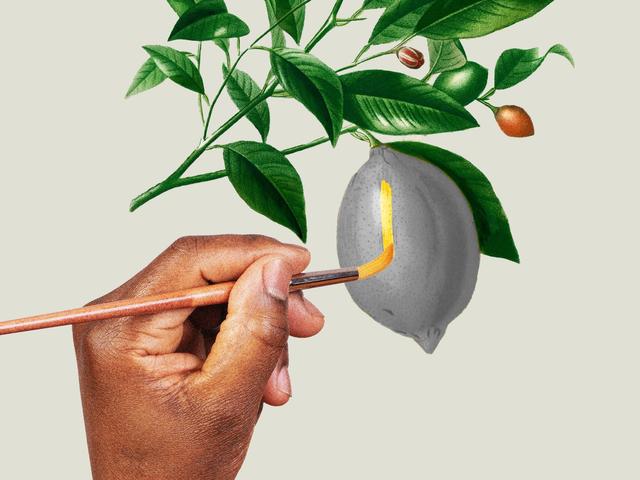 Radiolab: Podcasts | WNYC Studios | Podcasts