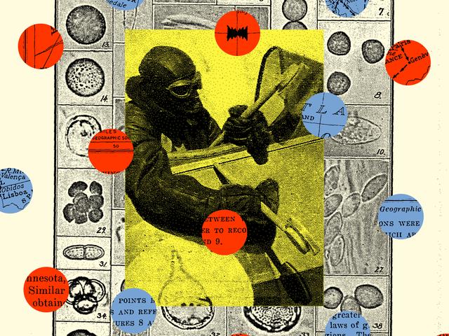 Radiolab: Podcasts | WNYC Studios | Podcasts