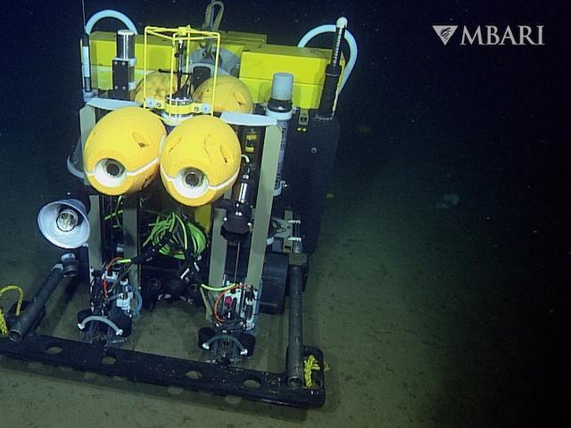 Science Friday: Segments | WNYC Studios | Podcasts