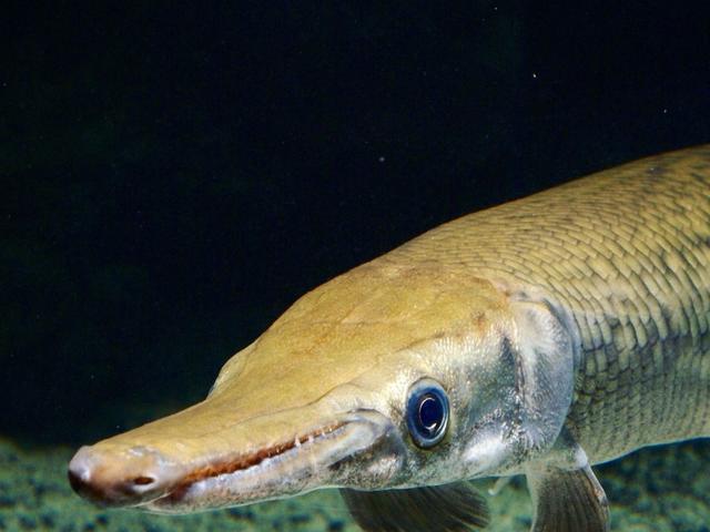 Science Friday: Segments | WNYC Studios | Podcasts