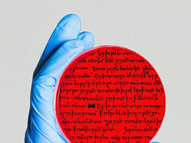 Radiolab: Podcasts | WNYC Studios | Podcasts