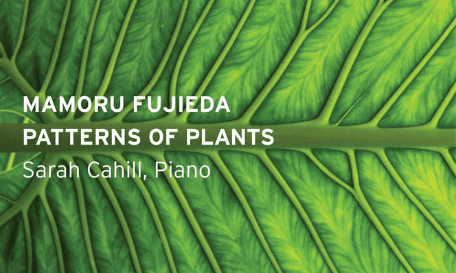 Mamoru Fujieda Derives Miniatures from Electrical Activity of Plants ...