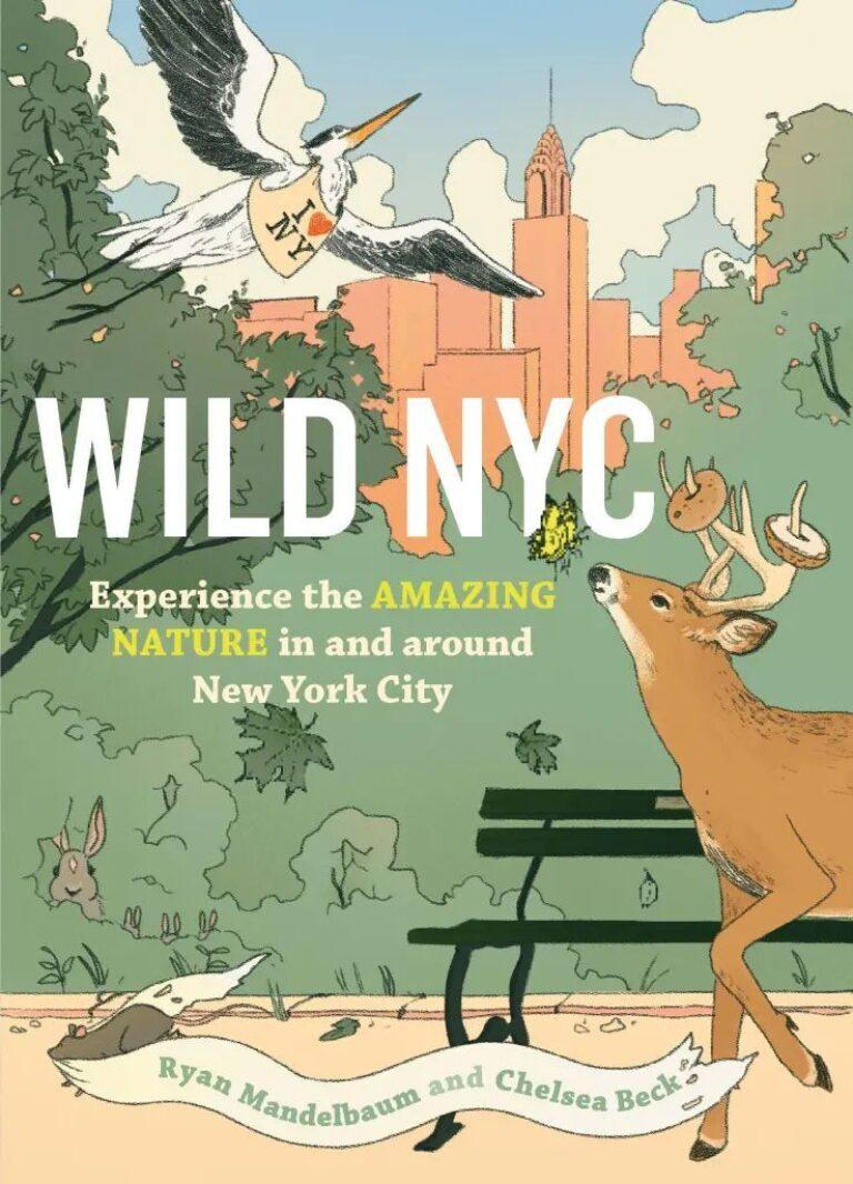 What The Hack: Nature in NYC | All Of It | WNYC Studios