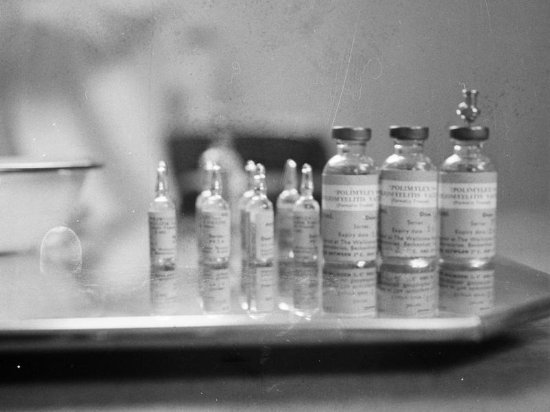 The Oral Polio Vaccine Can Go 'Feral,' But WHO Vows to Tame It ...