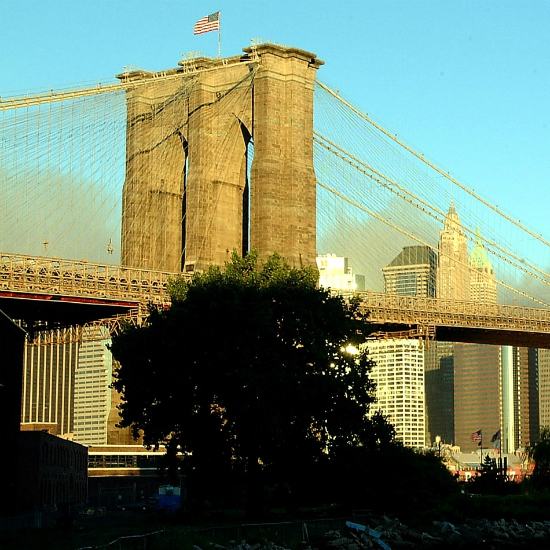 After September 11, the First 500 Days | The Takeaway | WNYC Studios