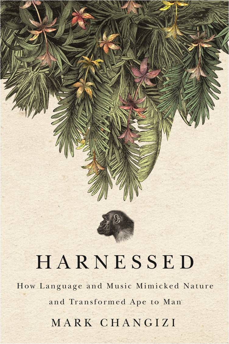 Music, Harnessing Nature | Soundcheck | WNYC Studios
